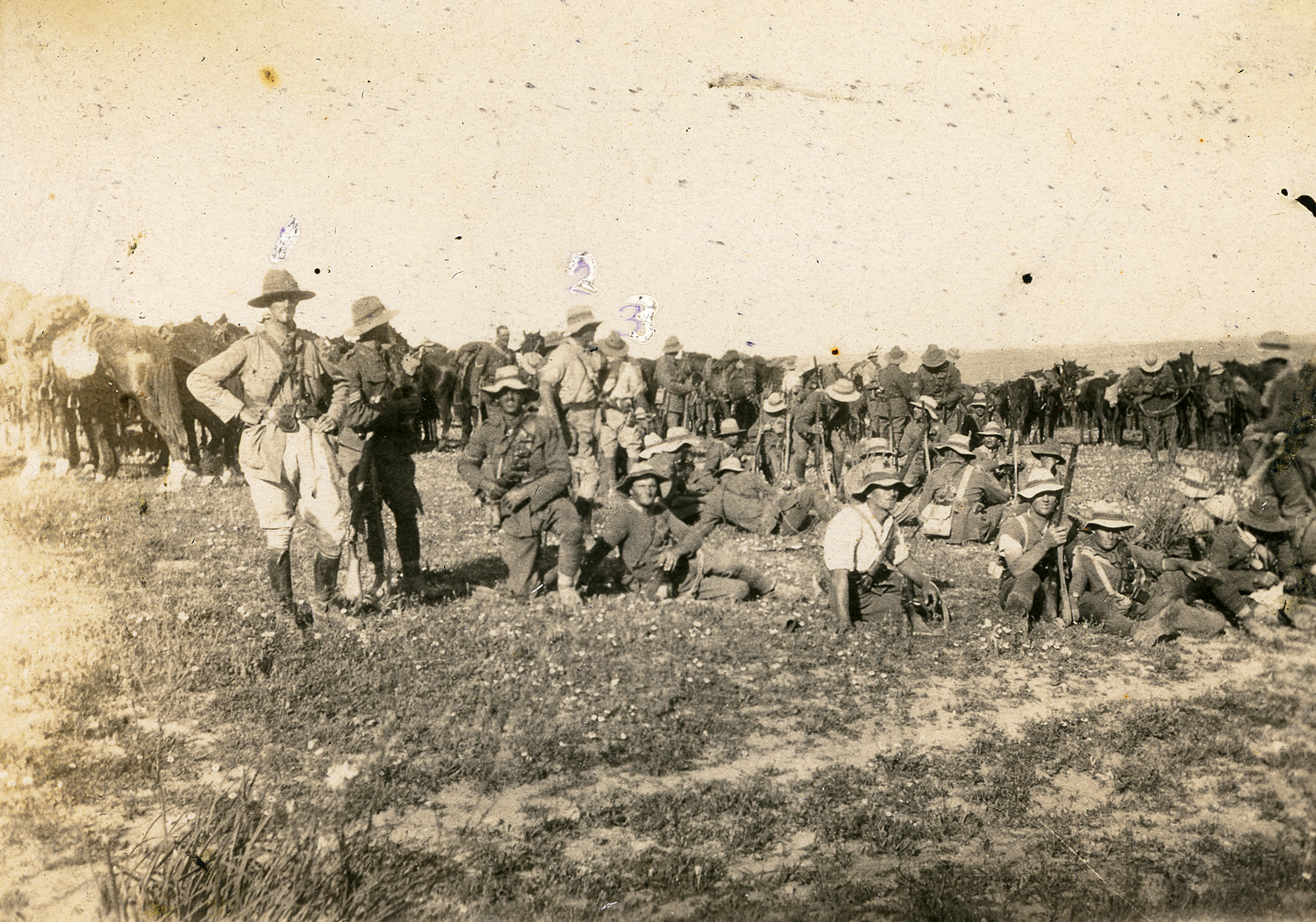 Desert riders | WW100 New Zealand